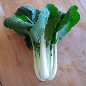 BOK CHOY – High Country Living
