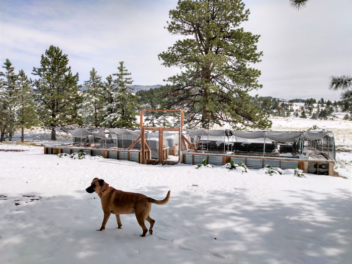 SNOW IN JUNE ?!?!?!? – High Country Living