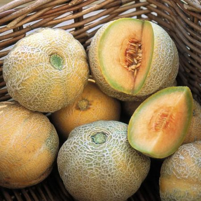 MELON – High Country Living